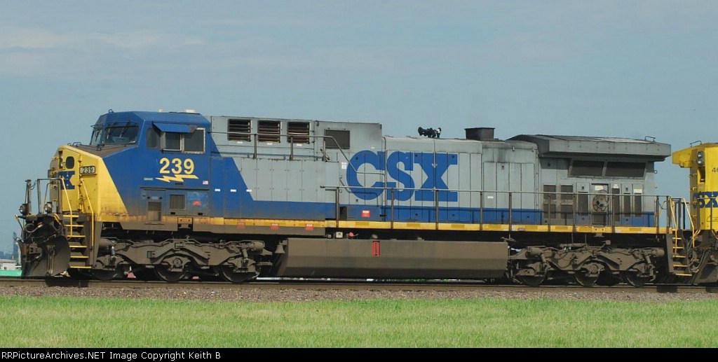 CSX 239